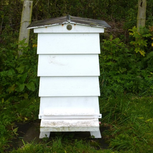 1st Honeybee Management revision post: hive types and frame sizes used ...