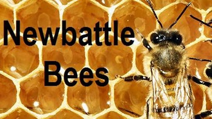 Our bees need you | Adventuresinbeeland's Blog