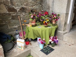 ‘The Cornish Bee’ – notes from a talk by Rodger Dewhurst, Gwenen ...